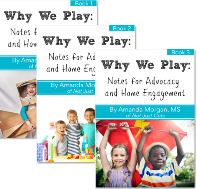 Why-We-Play-Book-Bundle-e1608675536296.png
